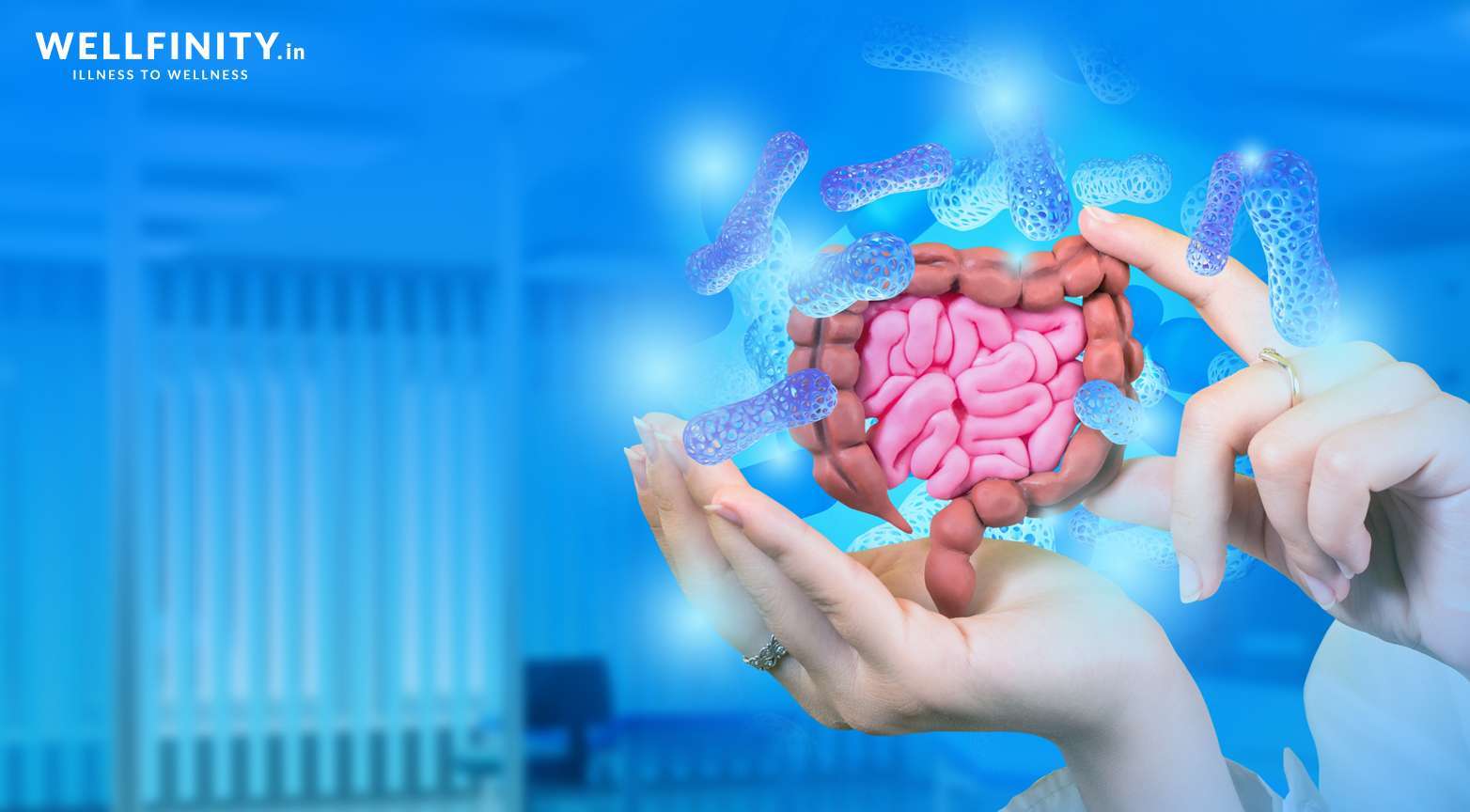 10 Things You Didn't Know About The Human Gut - Wellfinity