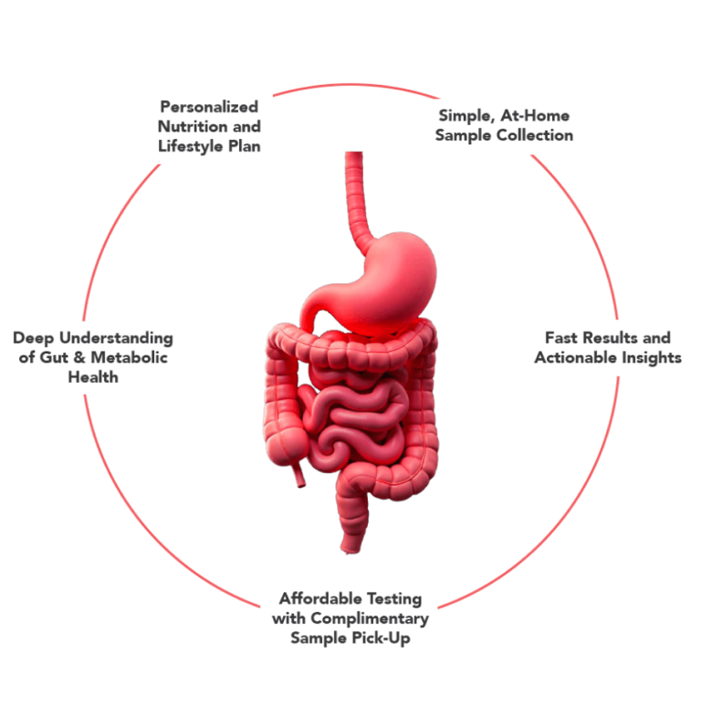 Most Advanced Test Kit Gut Dysbiosis & Metabolites - Wellfinity