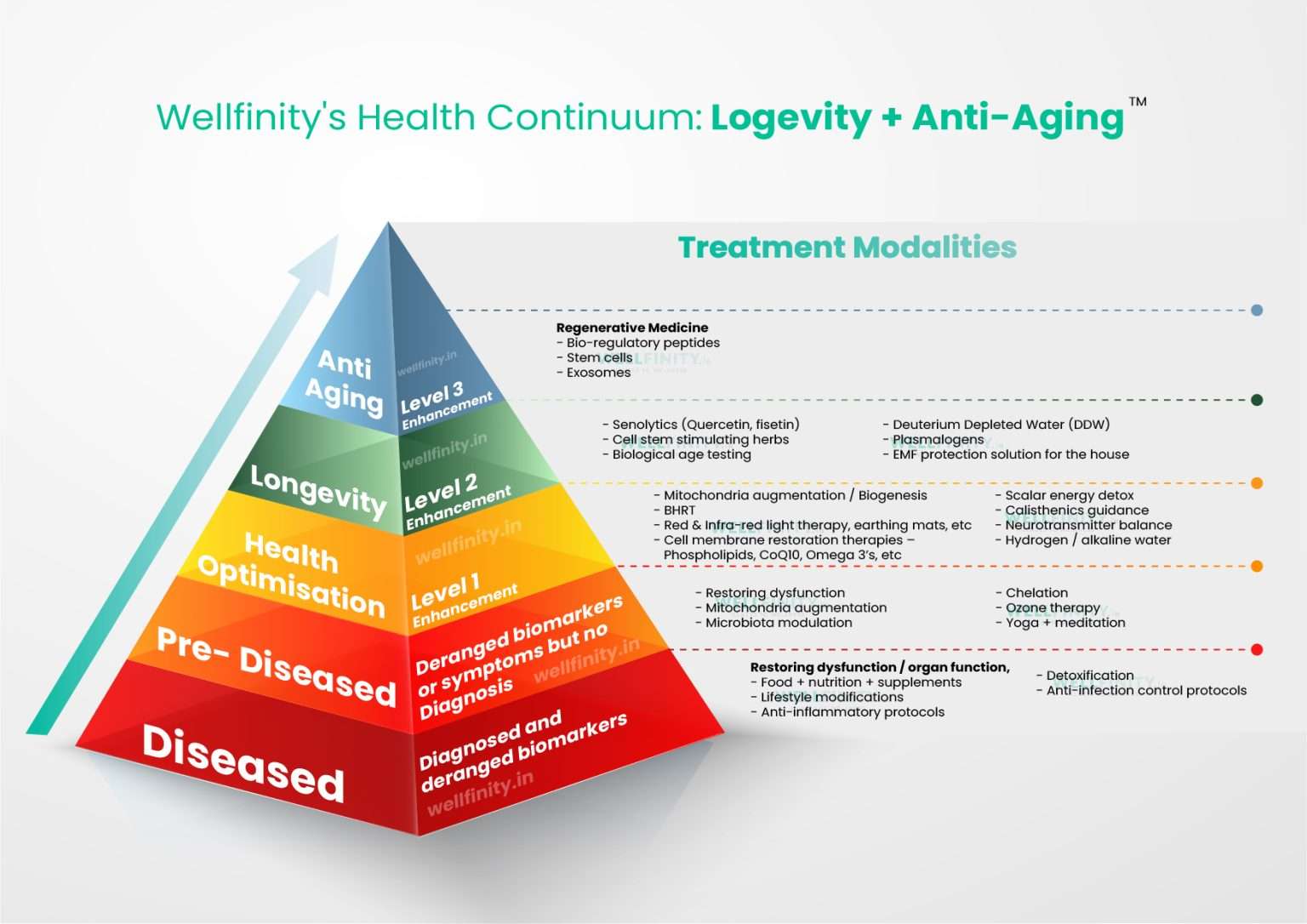 Chronic Disease Management and Reversal Program - Wellfinity